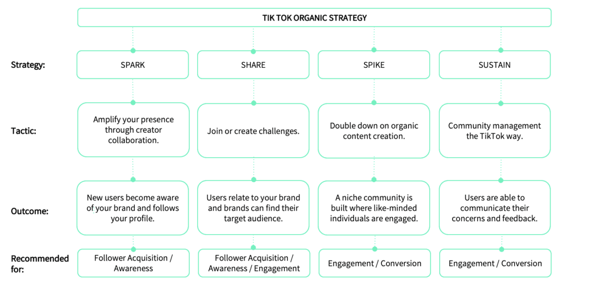 Winning Organic Strategy on TikTok: The 4S - Digital Business Lab Hong ...